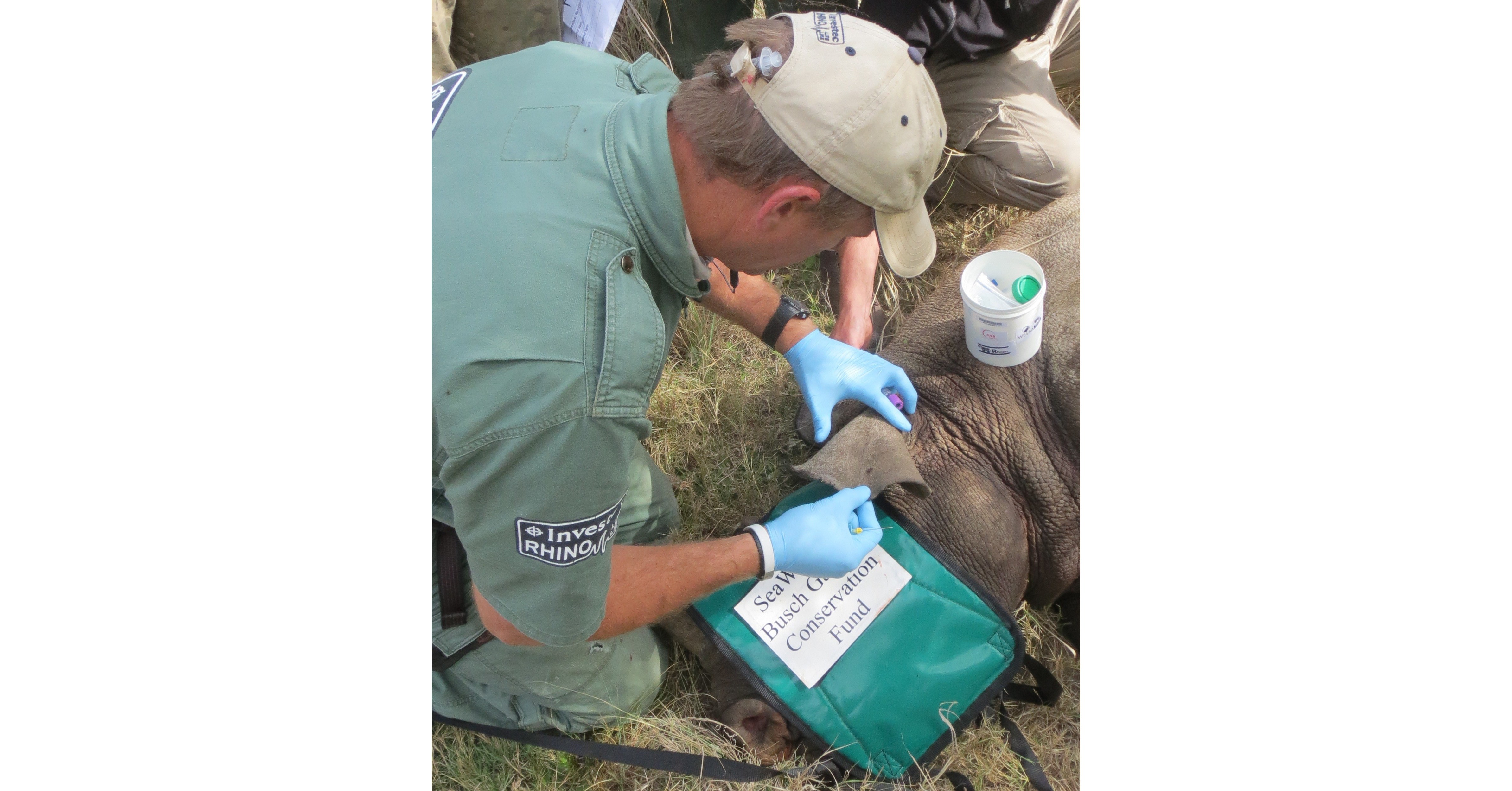 The SeaWorld & Busch Gardens Conservation Fund Reaches Record $17.5 ...