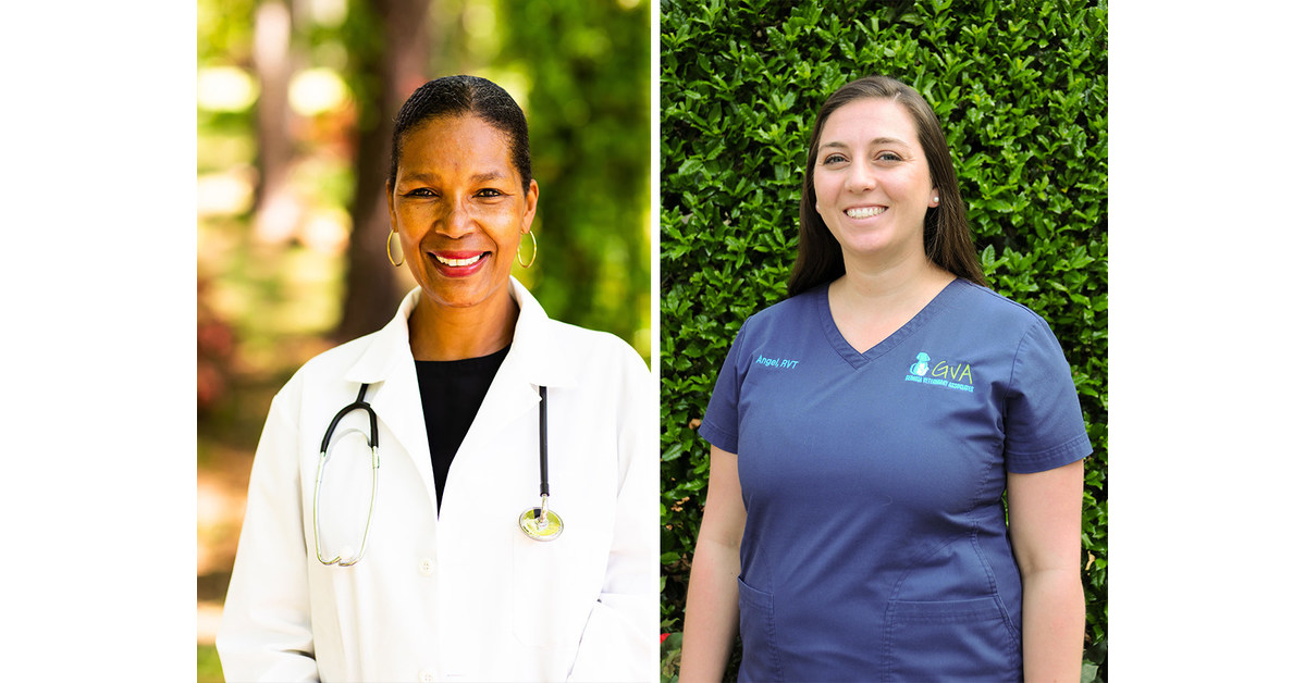 Heroes to America's Animals: Meet the Winners of the 2019 American ...