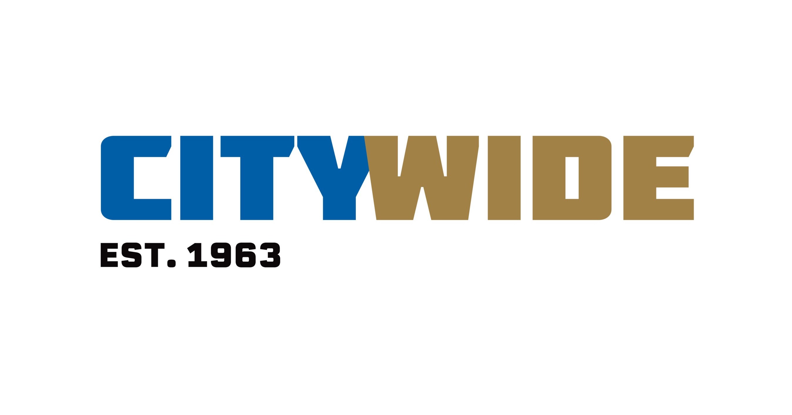 City Wide Logo 42nd Annual Kansas City Wide Open Kansas City Disc