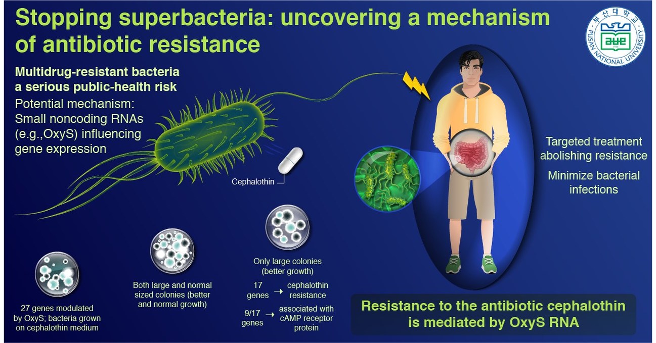 The Threat of Multidrug Resistance: One Step Toward Unraveling the Rise ...