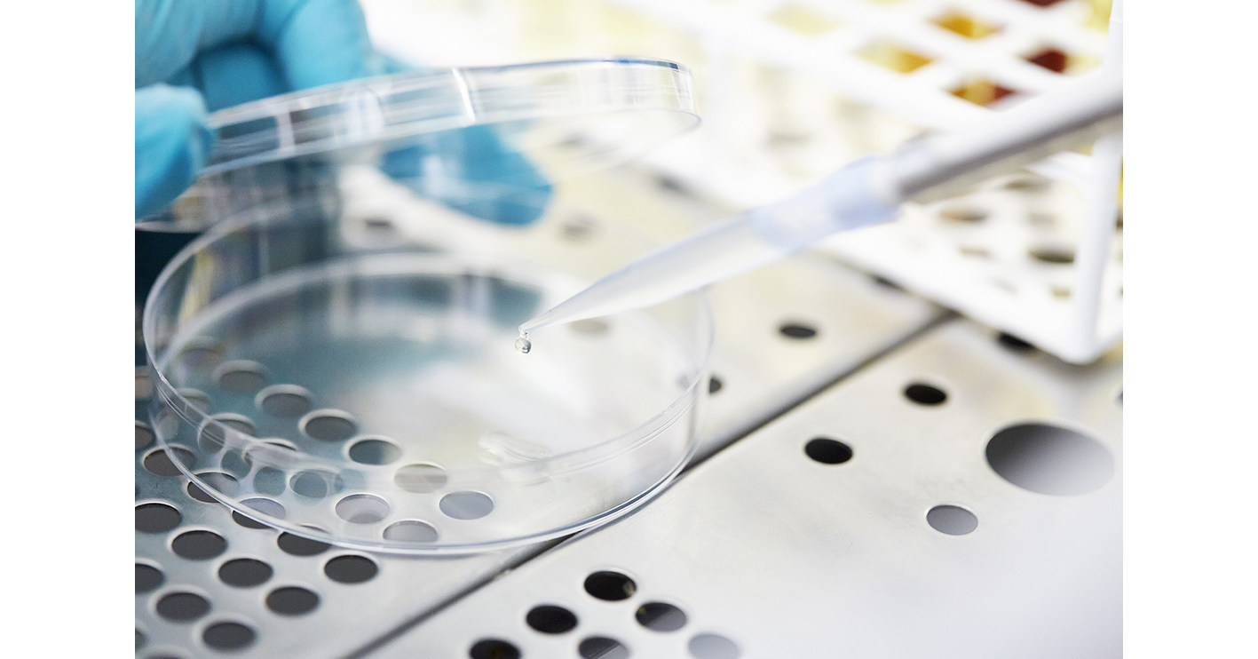 Independent Lab Testing Critical for CBD Formulas