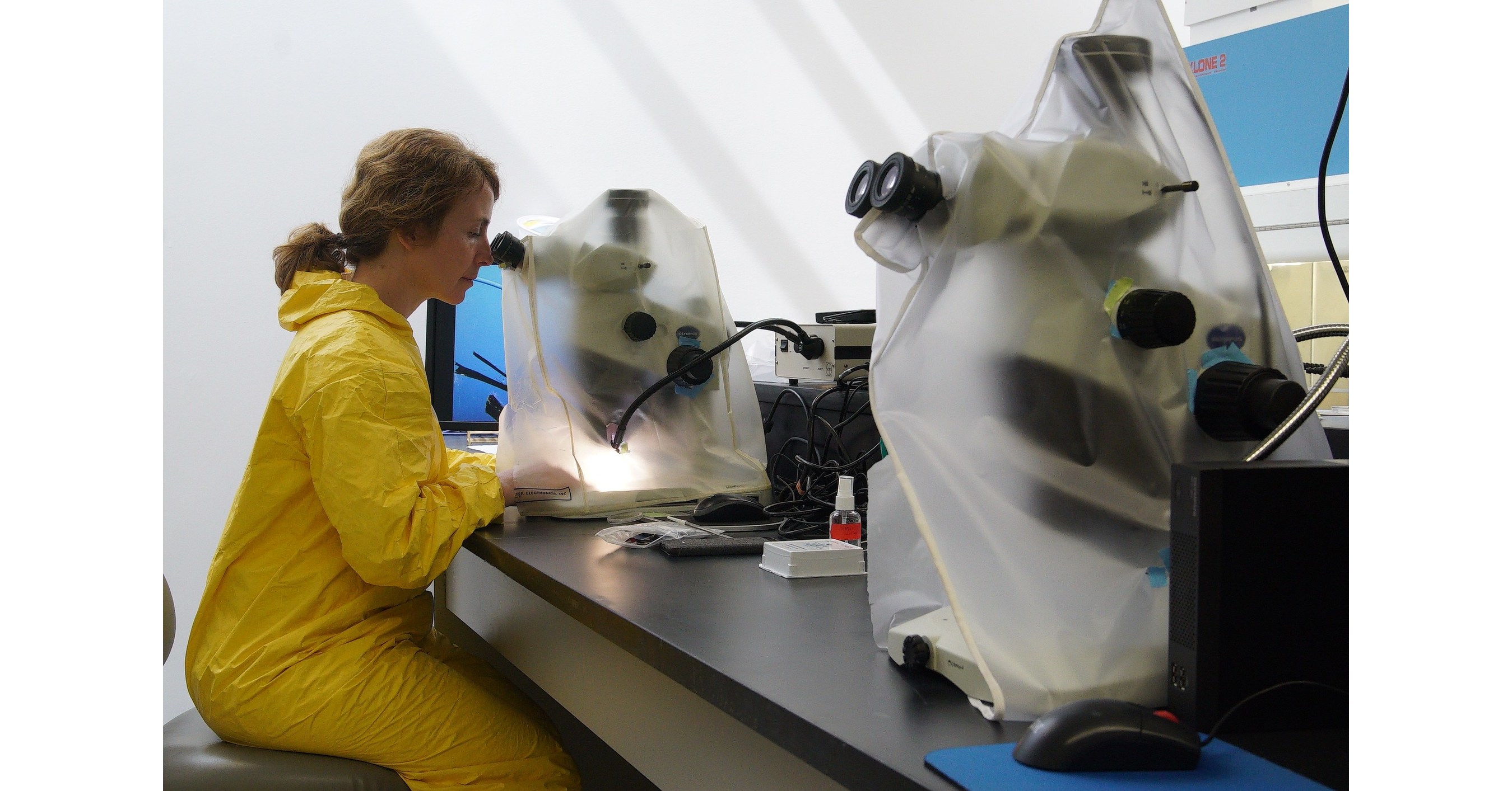 New Report: Laundry Releases Trillions of Plastic Microfibers Into the ...