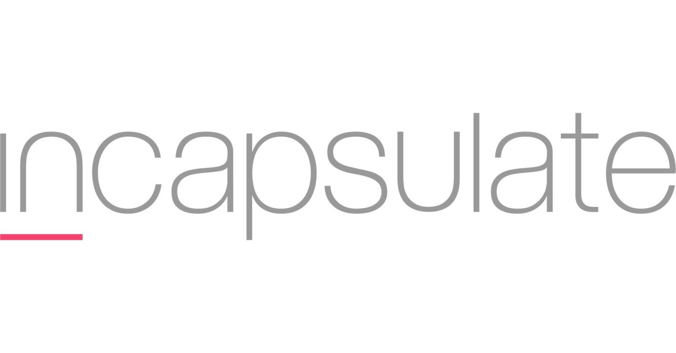 Incapsulate Named "Dominant Player" in IT Service Providers for ...