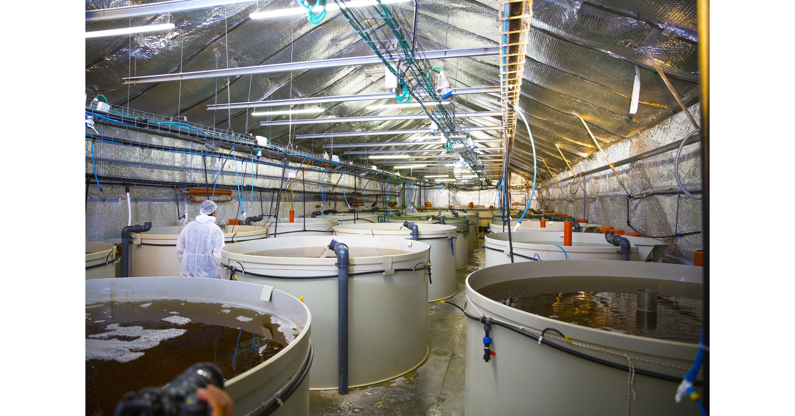 After Securing Over $300M in Closed Deals, AquaMaof Reveals Ground ...