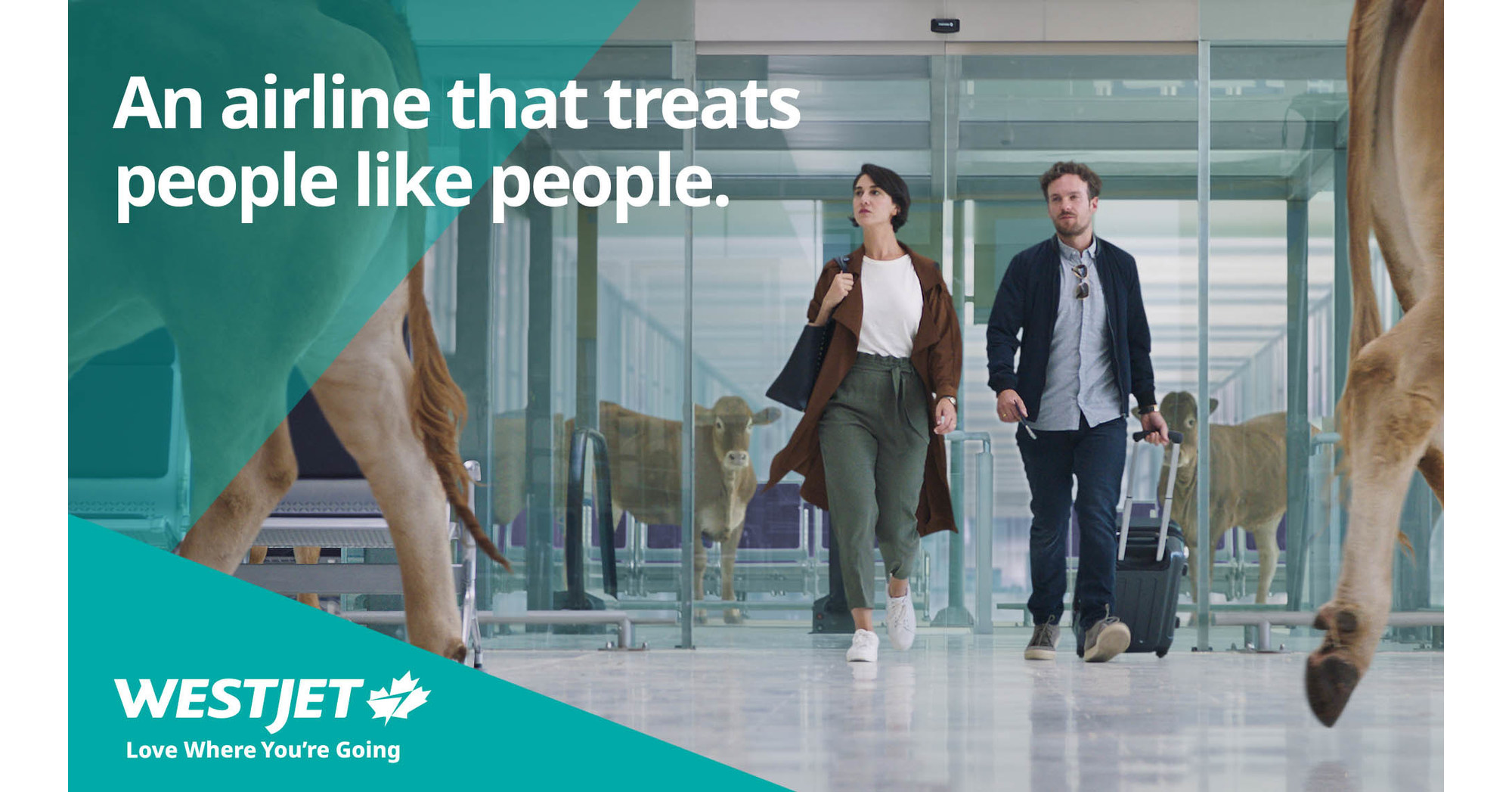 WestJet stands out from the herd in latest advertising campaign