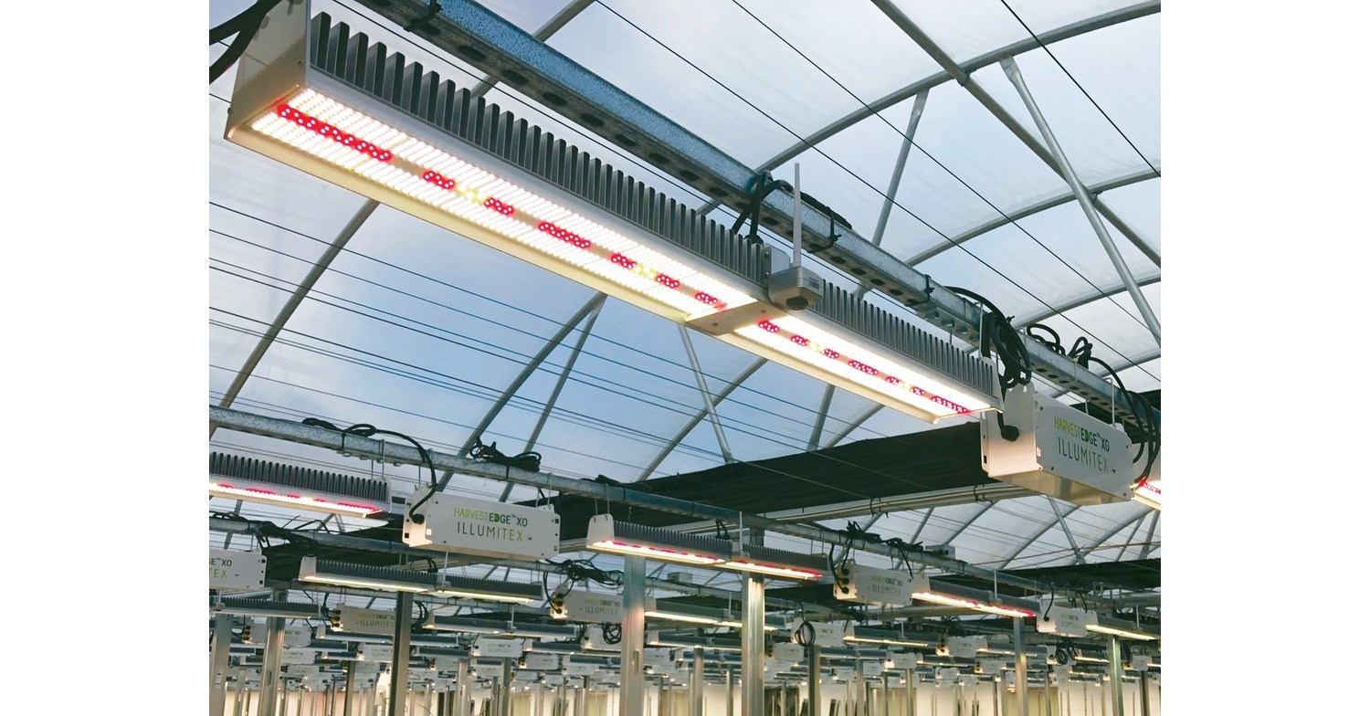 Illumitex Expands FarmVisionAI™ Platform to Support Widest Range of CEA ...