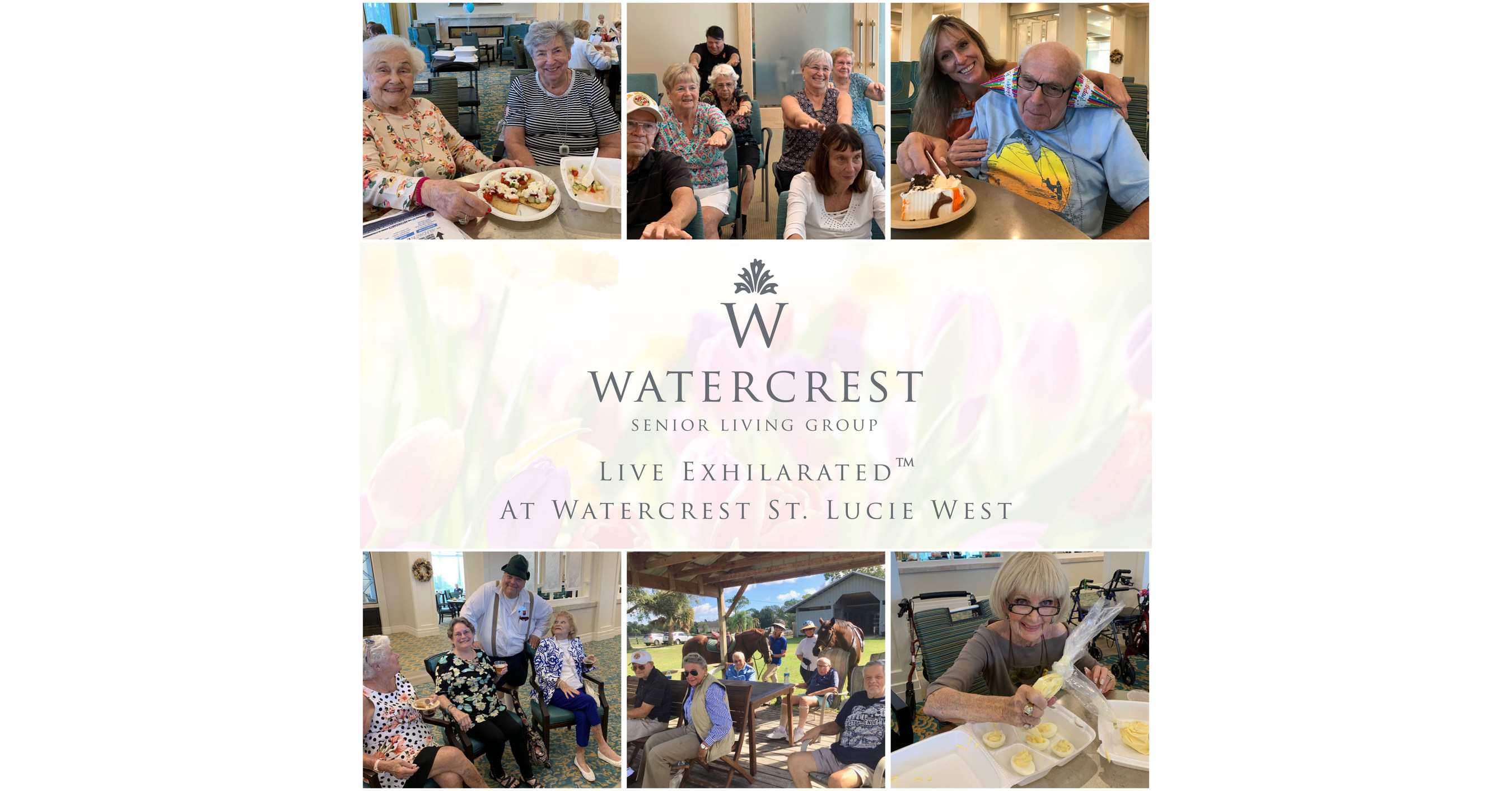 Watercrest Senior Living Group Launches Live Exhilarated™ Program at ...