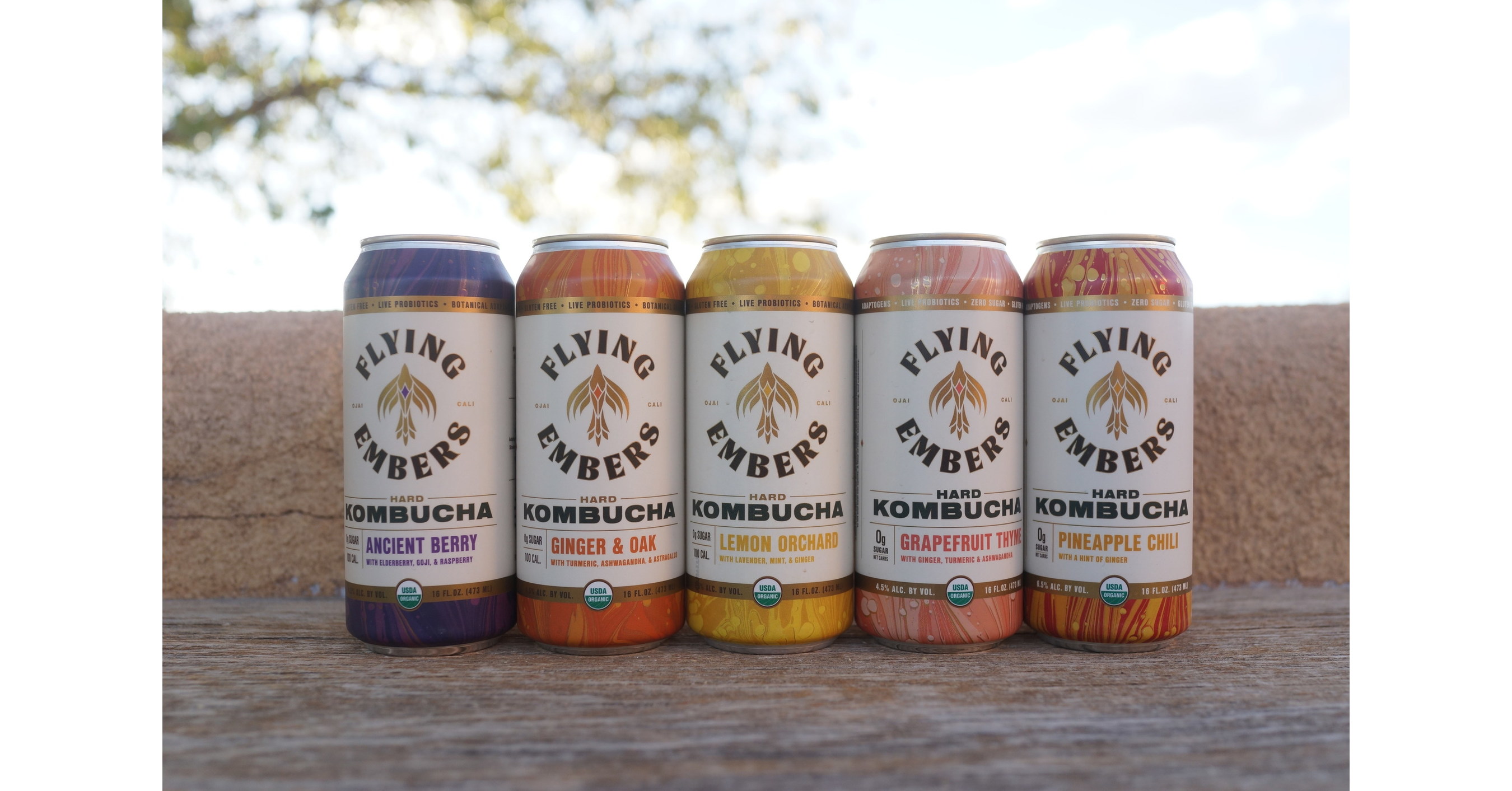 Flying Embers Welcomes Industry Veteran Ty Gilmore as President