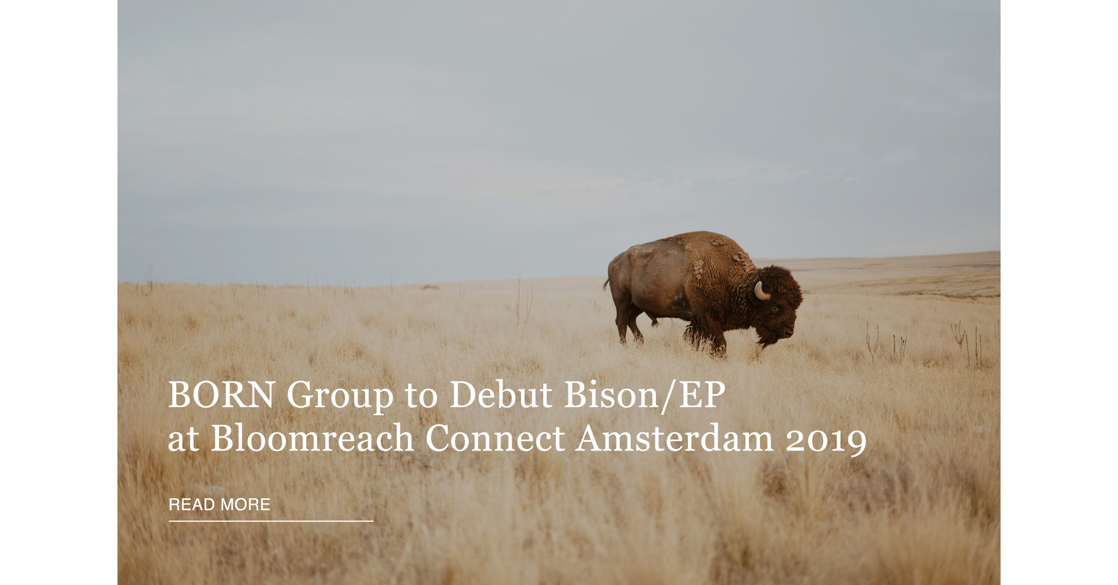 BORN Group to Debut Bison/EP at Bloomreach Connect Amsterdam 2019