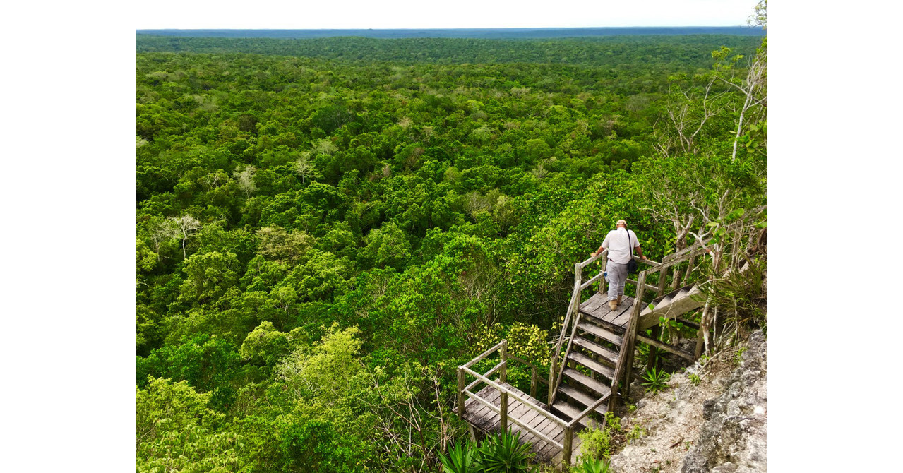 Maya Biosphere Watch opposes proposal for jungle train and Disney-like ...