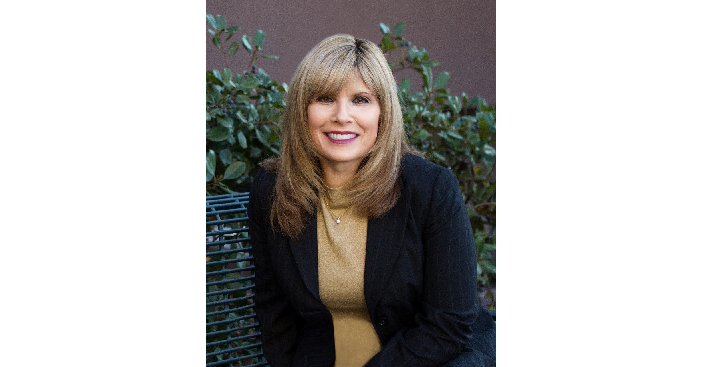 Susan Herman, DNP, MSN, RN, NEA-BC, CENP, Named Chief Nursing Officer ...