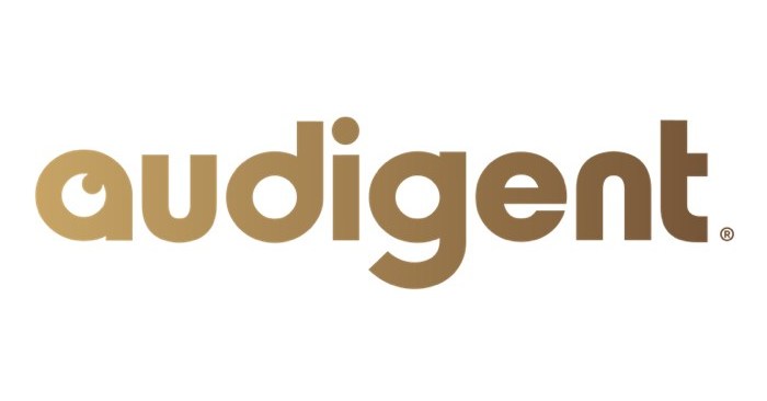 Audigent Secures $6.7 Million Series A Financing Round Led by Raised In ...