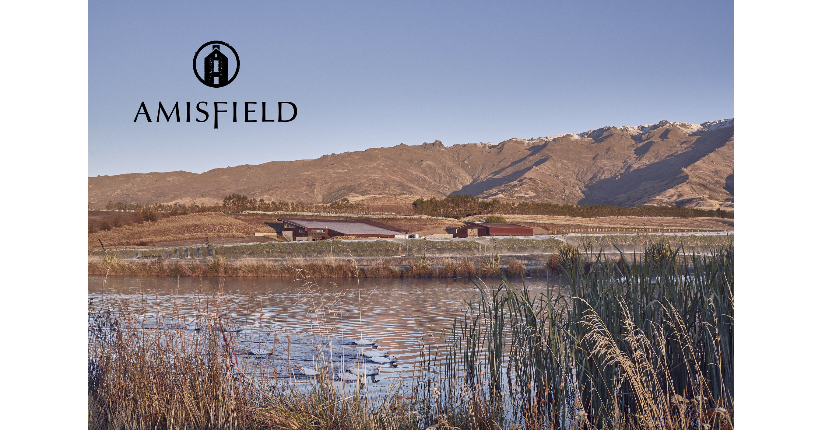 Amisfield Appoints Mt. Beautiful USA As Exclusive US Importer for All ...