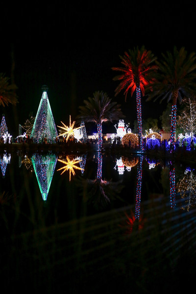 More Than 3,000 Attend Opening of AMAZE Light Festival in Norco