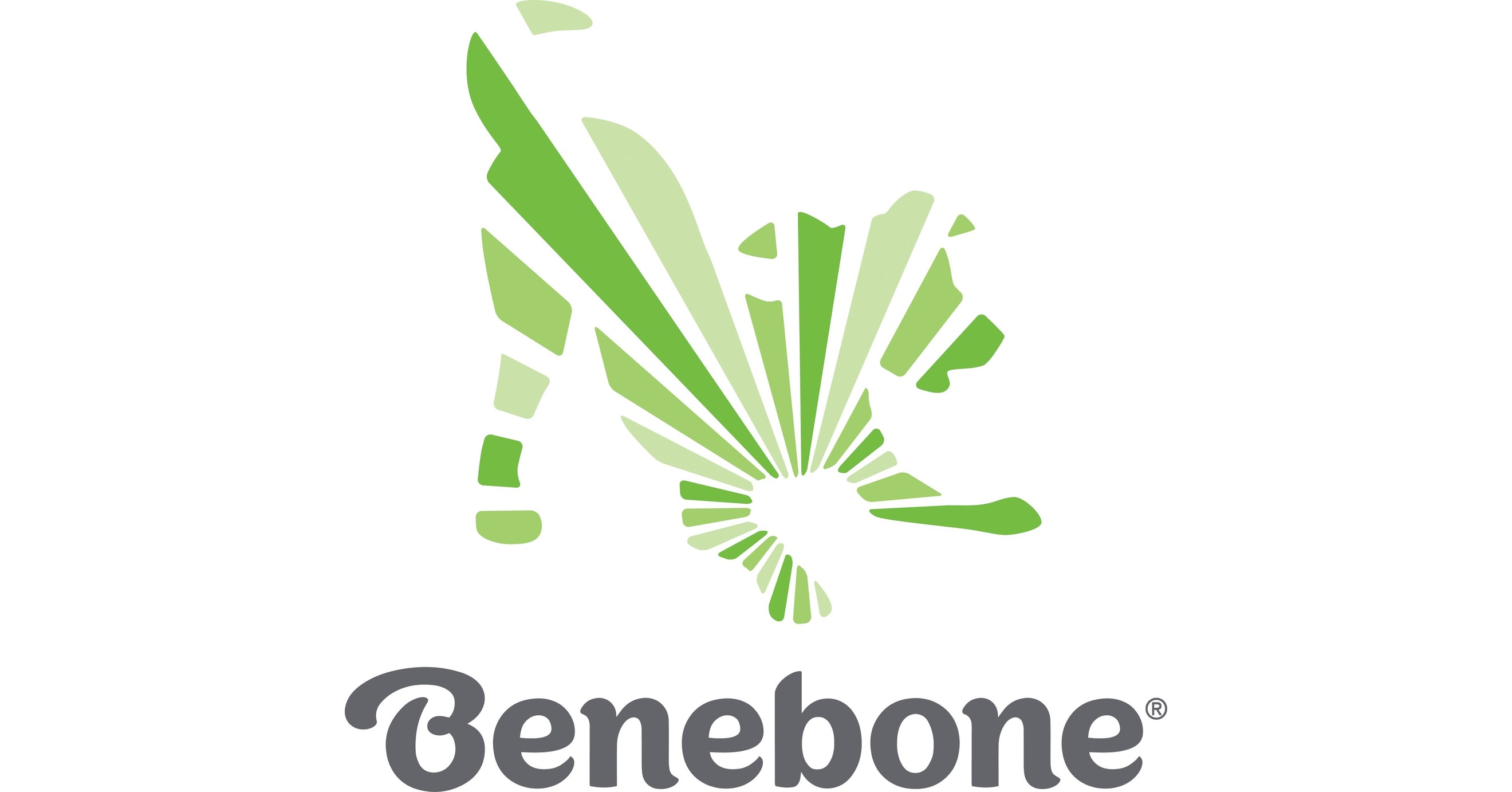 Benebone Launches New Zaggler Chew Toy