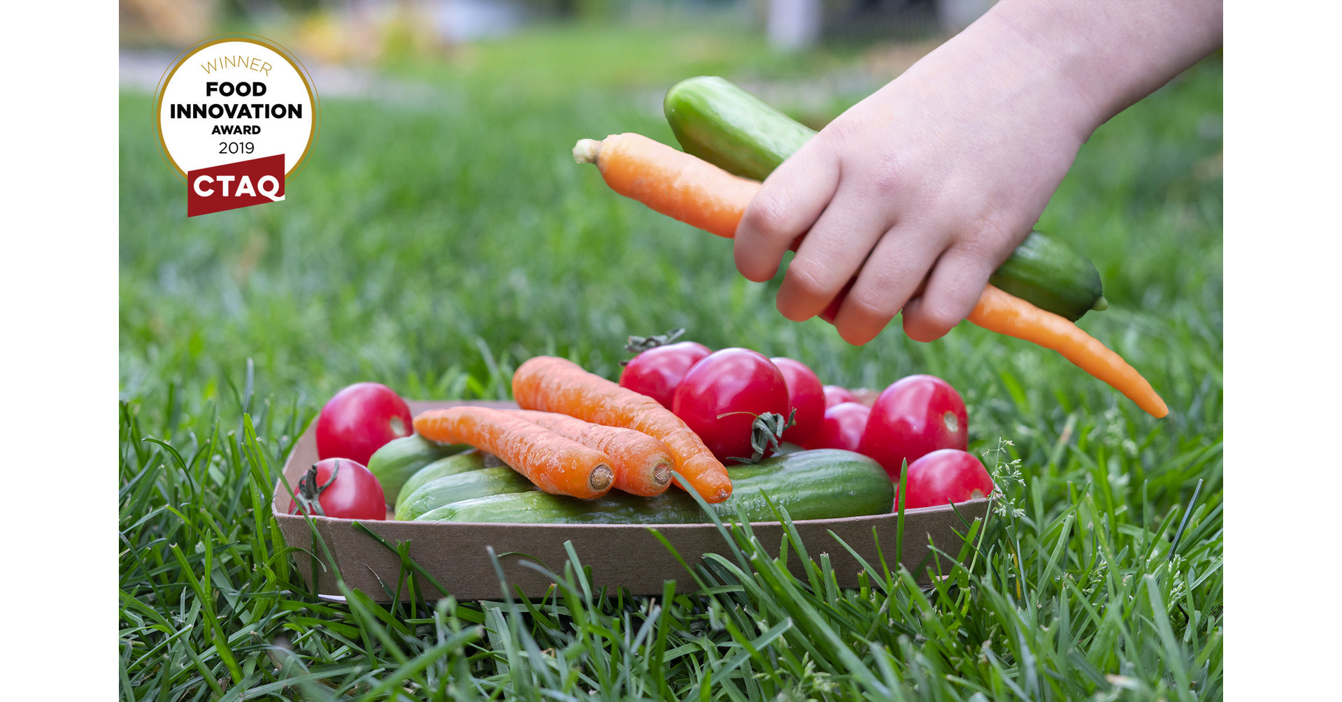 Cascades launches a cardboard food tray made from 100% recycled and ...