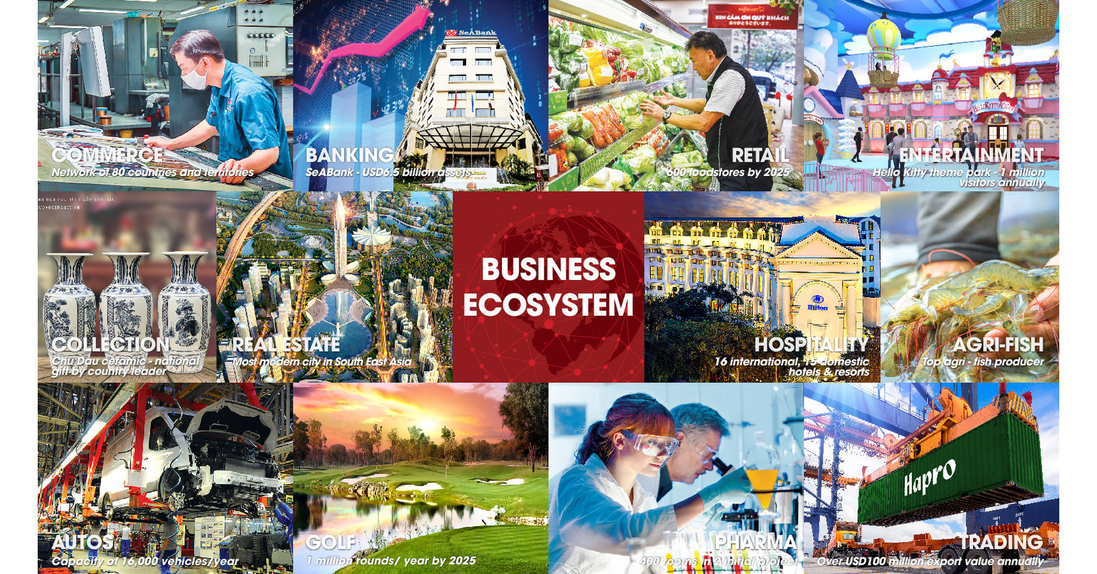 BRG Group Thrives in Vietnam's Golden Private Sector Era