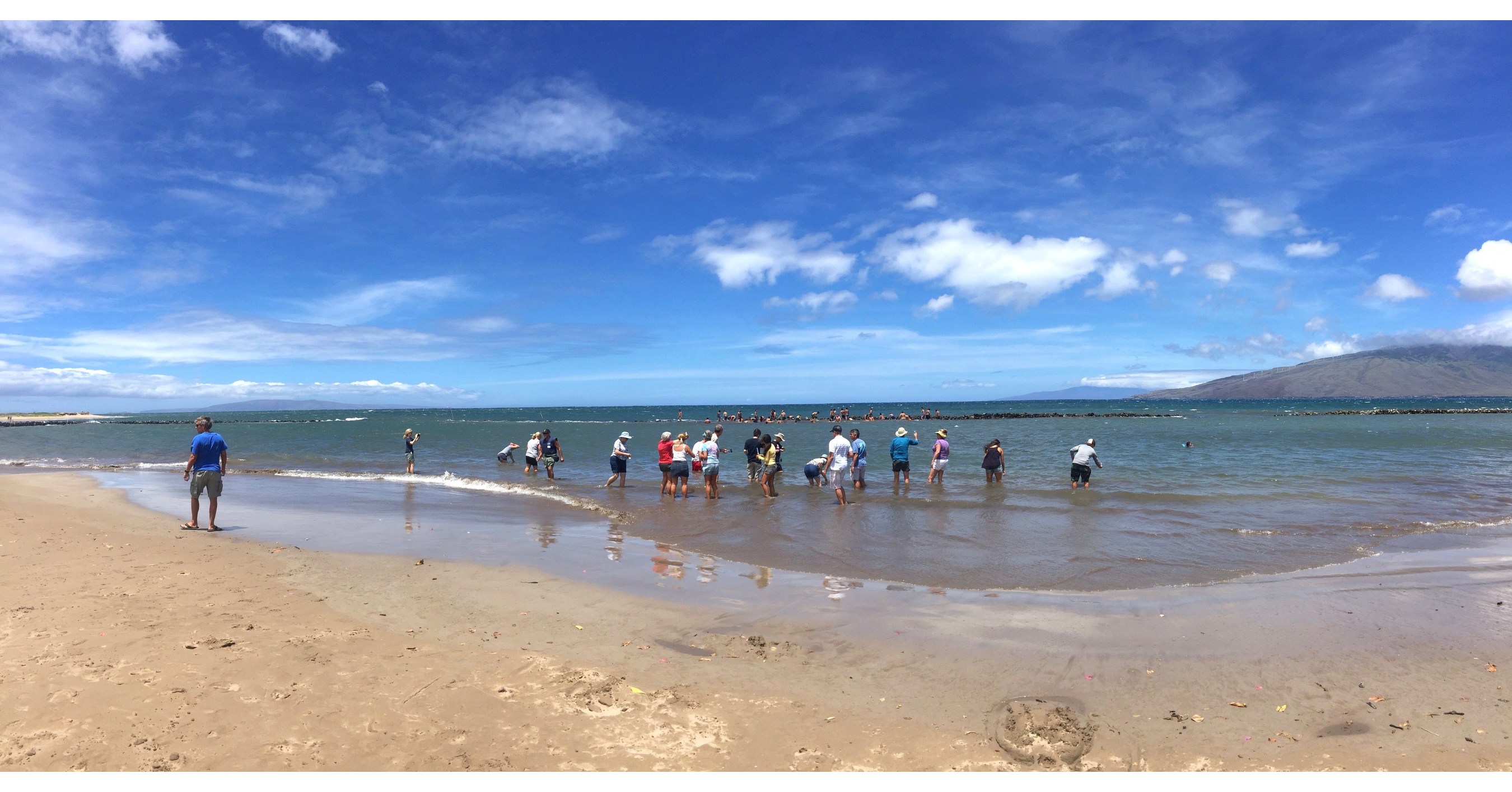 On Maui, the "World's Best Island," Citizens Volunteer to Support Clean ...