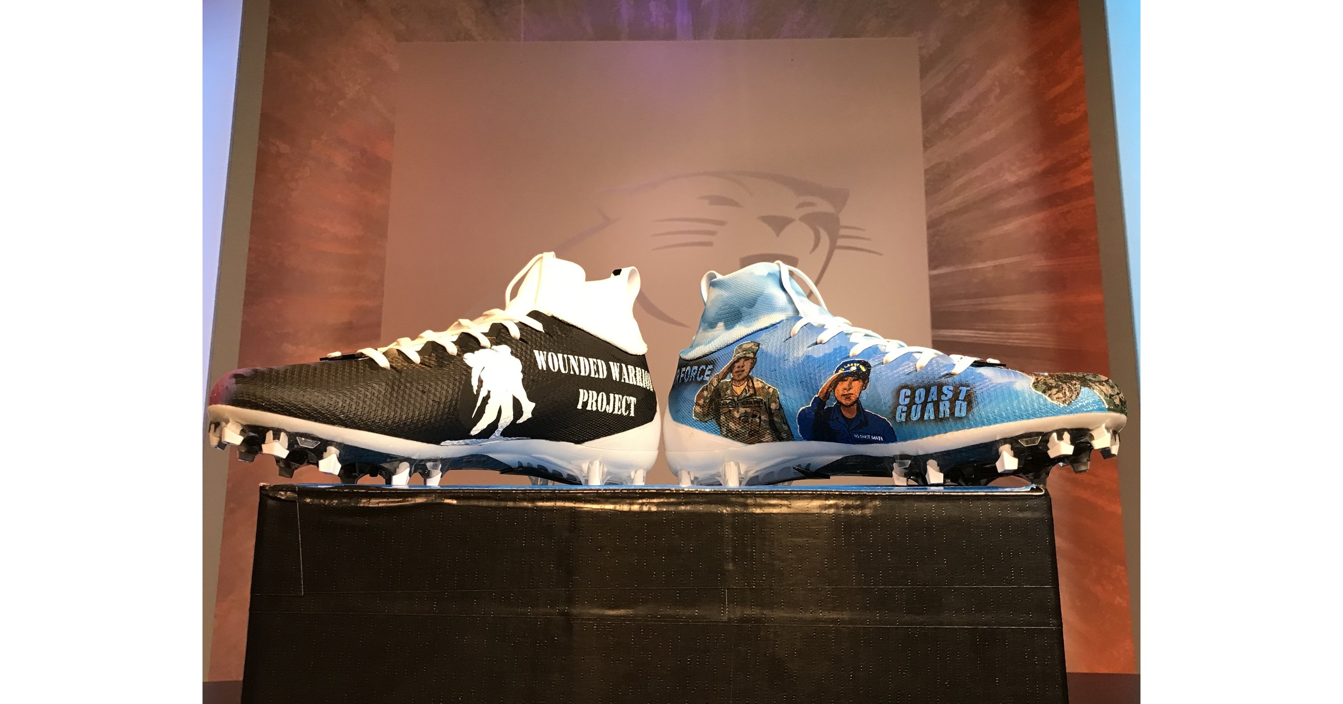 Wounded Warriors Receive Support from NFL Campaign | WWP