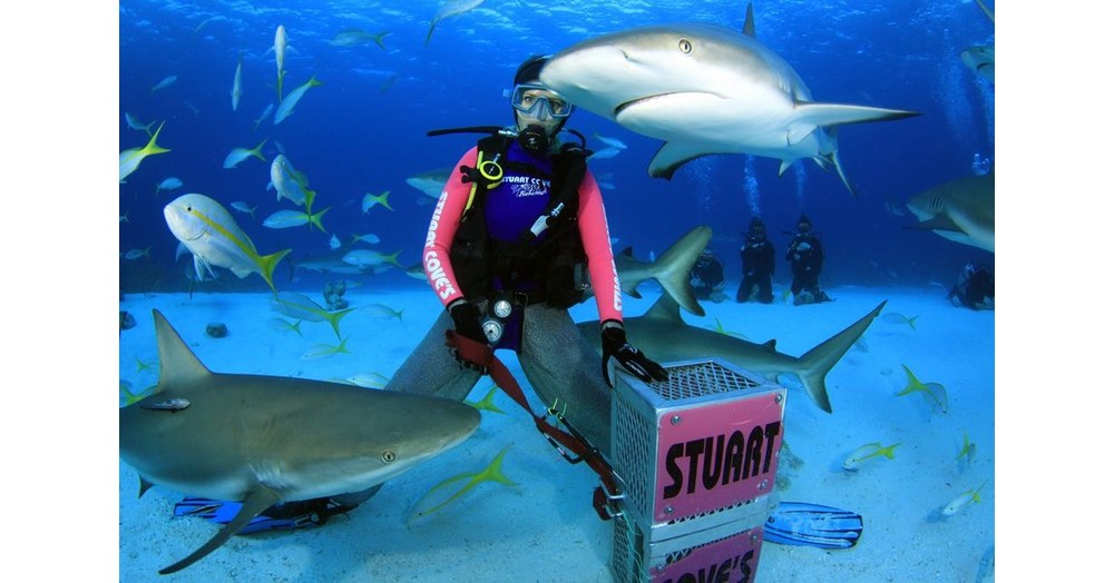 Sea Save Foundation's Annual Auction Ends December 19th