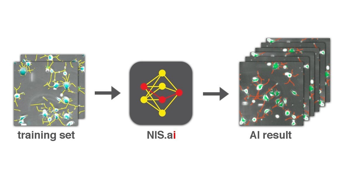 Nikon Announces Artificial Intelligence (AI) for Predictive Imaging ...