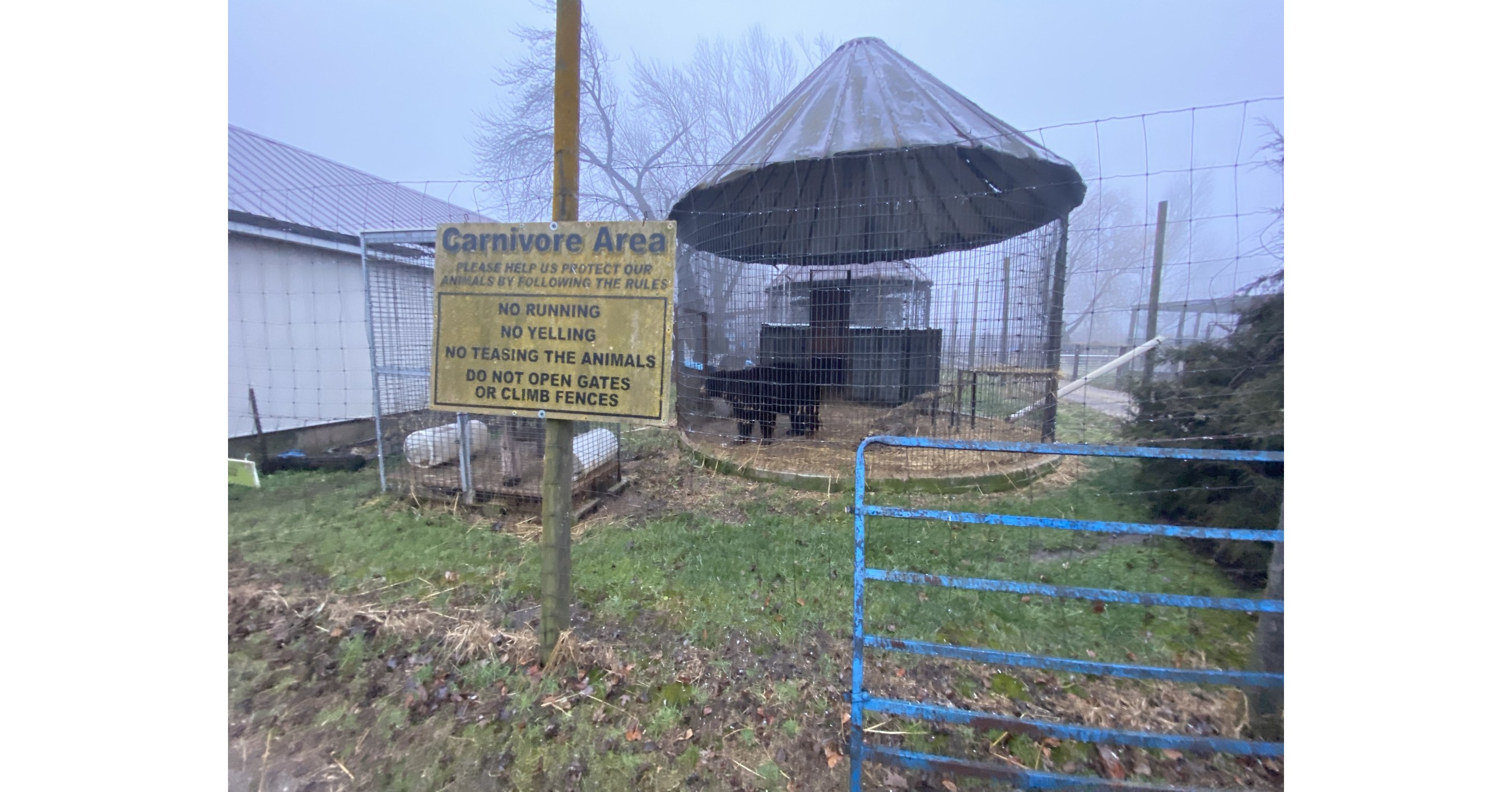 Roadside Zoo Animals Living in Deplorable Conditions Given New Life at ...
