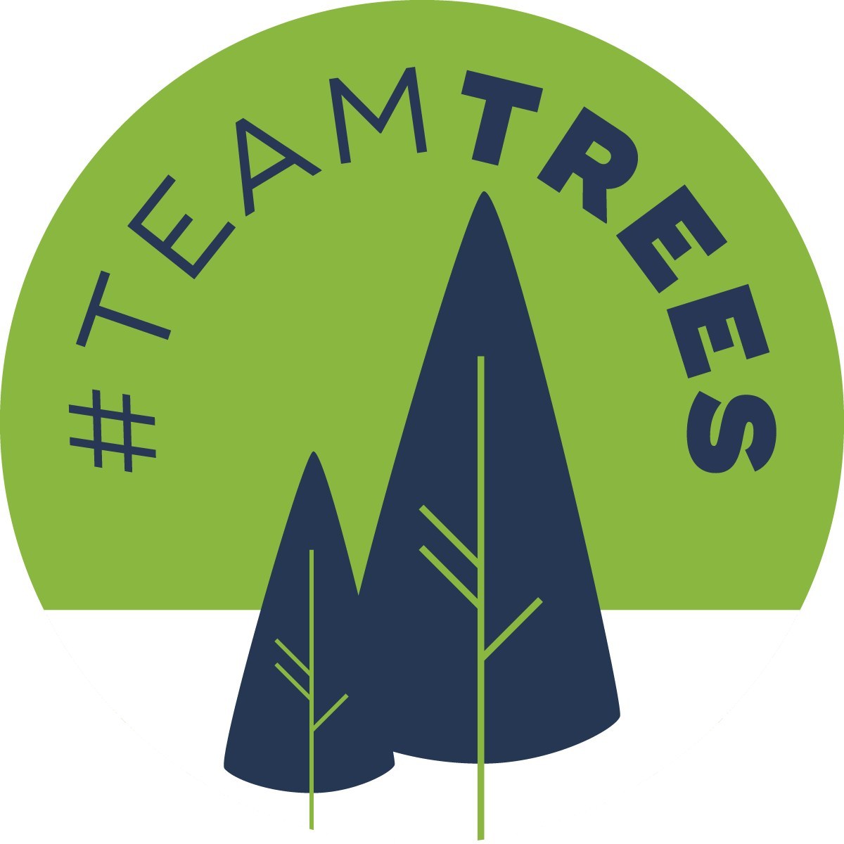 Viral #TeamTrees Crowdfunding Campaign Raises $20 Million To Plant 20 ...