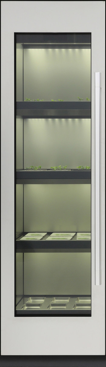 LG Leverages Appliance Know-How To Develop First Indoor Vegetable ...