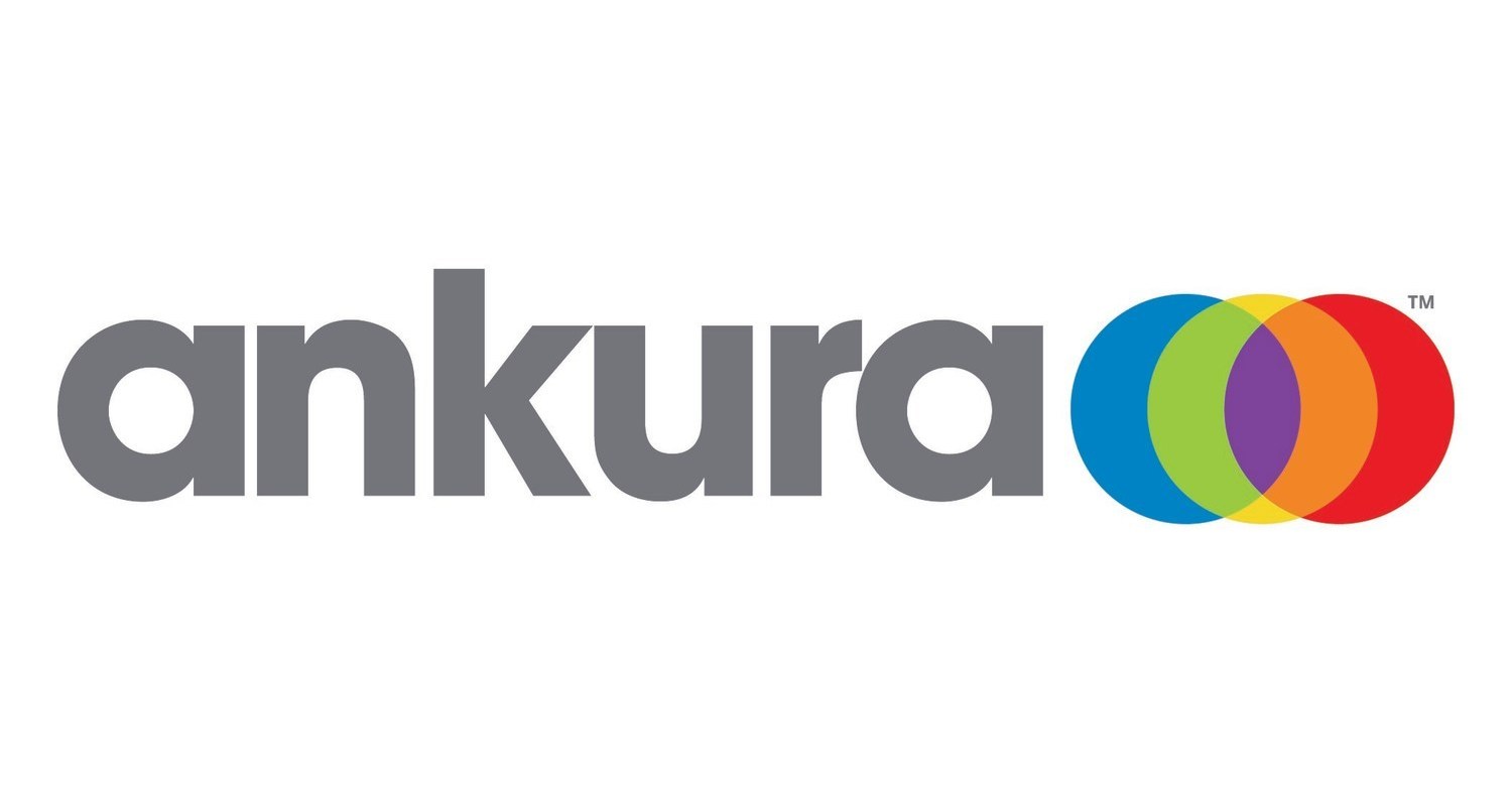 Kevin Lavin Named Chief Executive Officer of Ankura