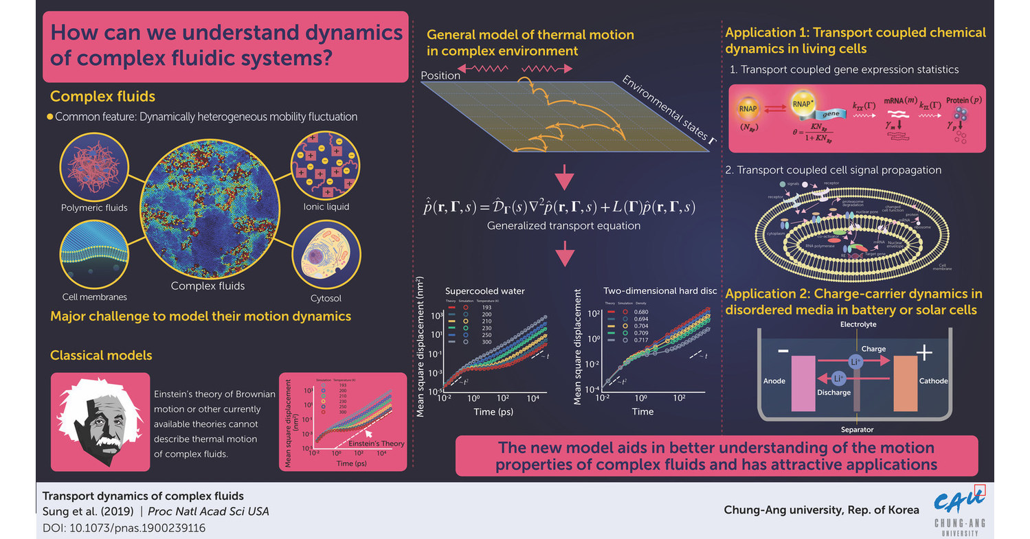 New Model Explains Unique Transport Dynamics of Complex Fluids