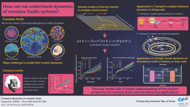 New Model Explains Unique Transport Dynamics of Complex Fluids