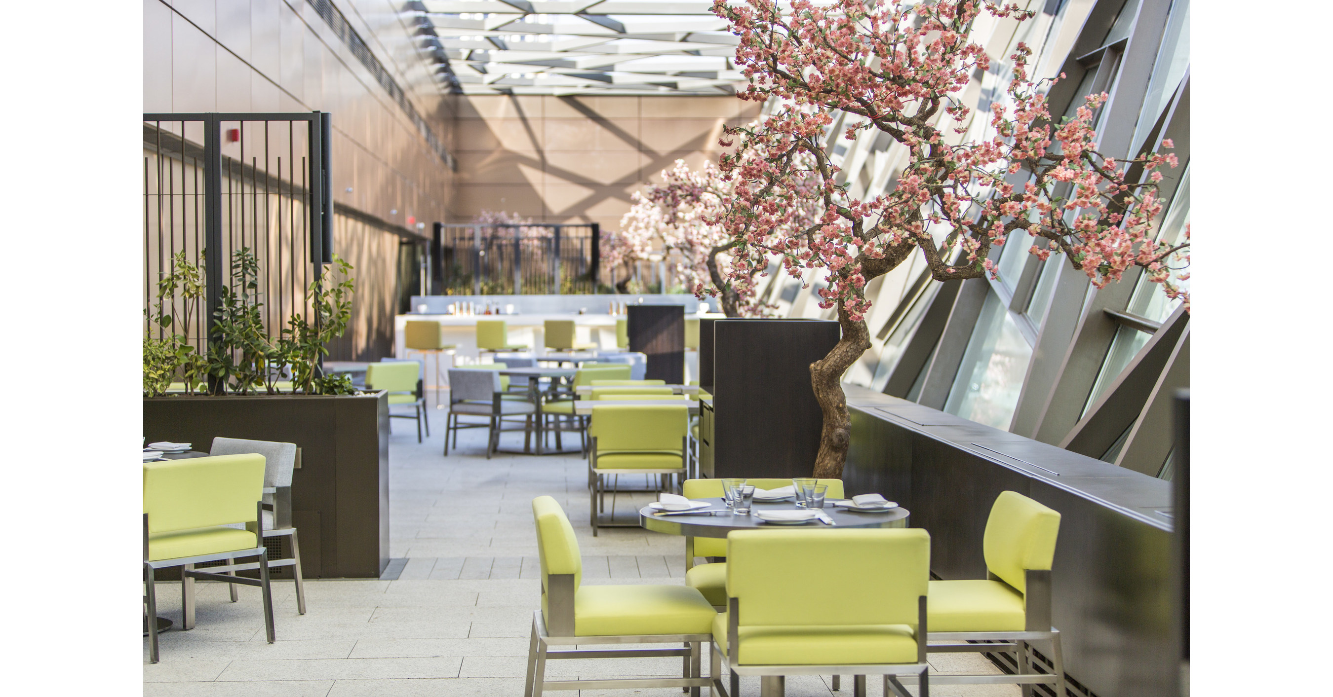 Yauatcha, The Award-winning Hakkasan Group Restaurant, is Now Open for ...