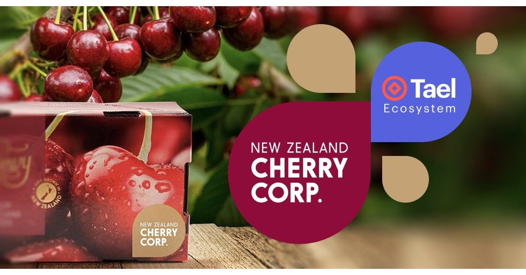 NZ Cherry Corp Partners With Techrock to Serve the China Market