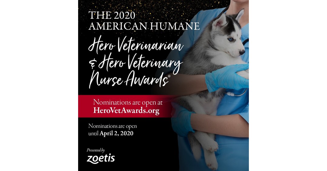 Honor The Veterinary Heroes In Your Animal's Life!