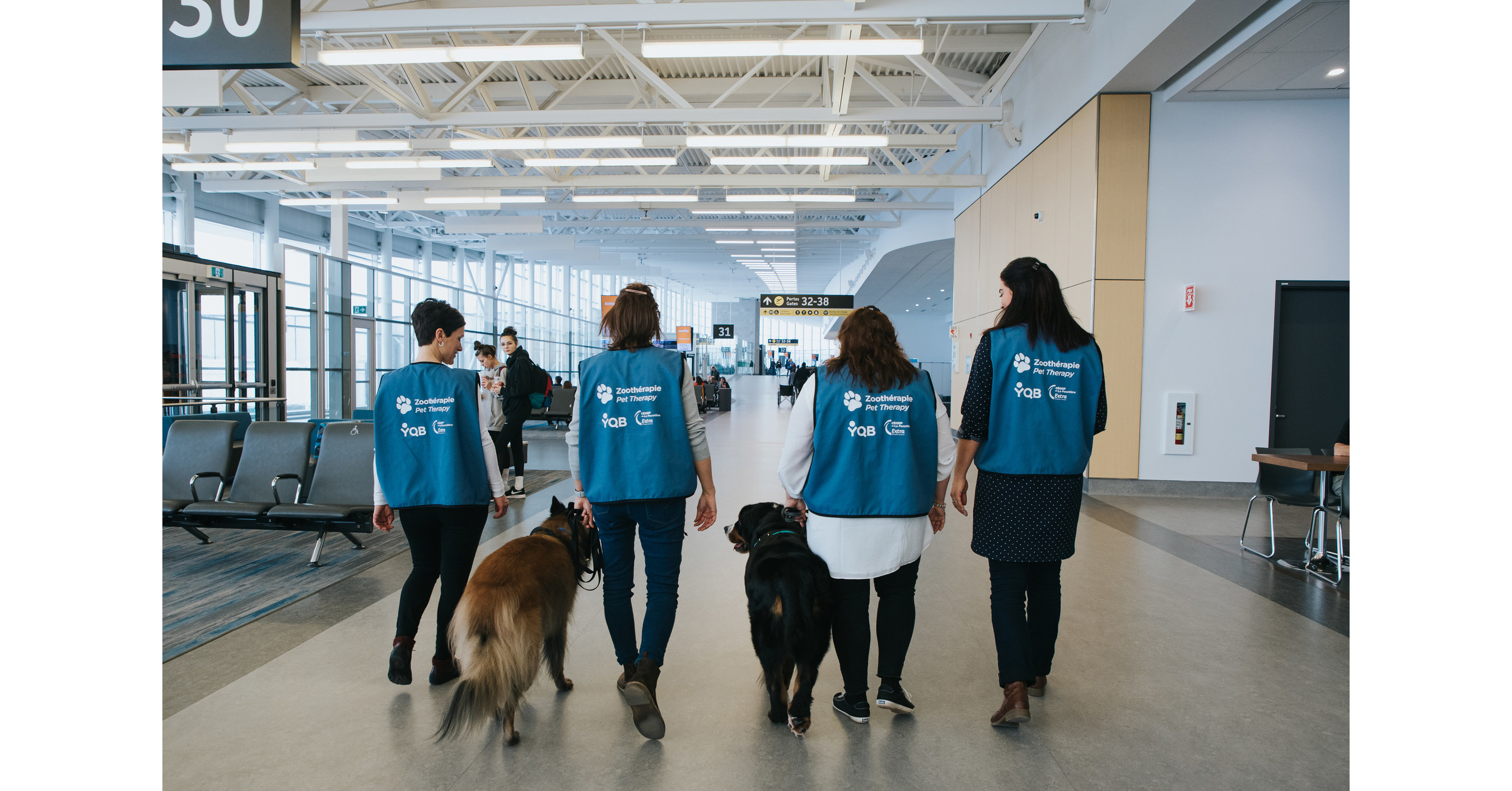 YQB and Cégep de La Pocatière launch a pet therapy project to relieve ...