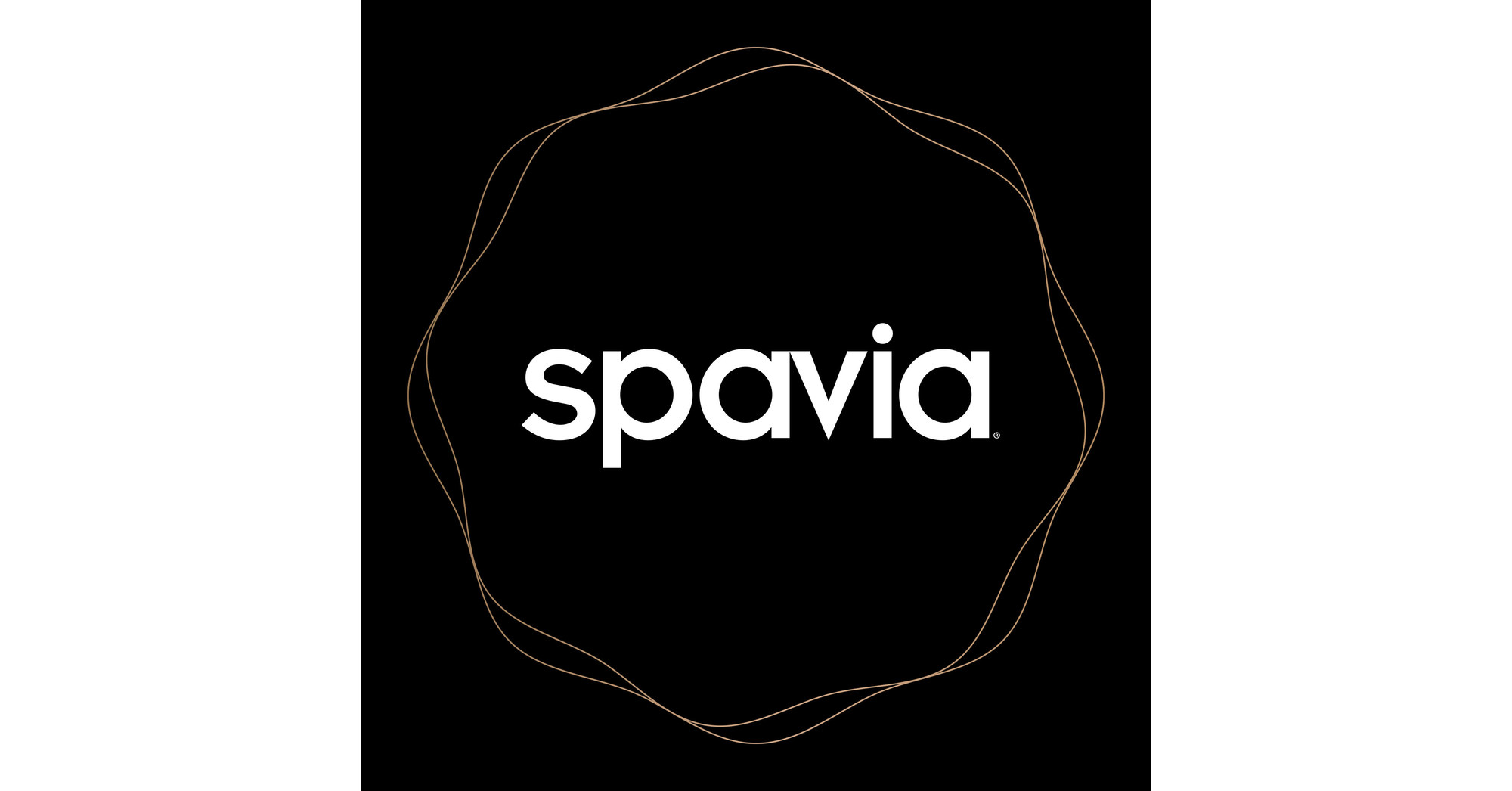 Spilva Logo