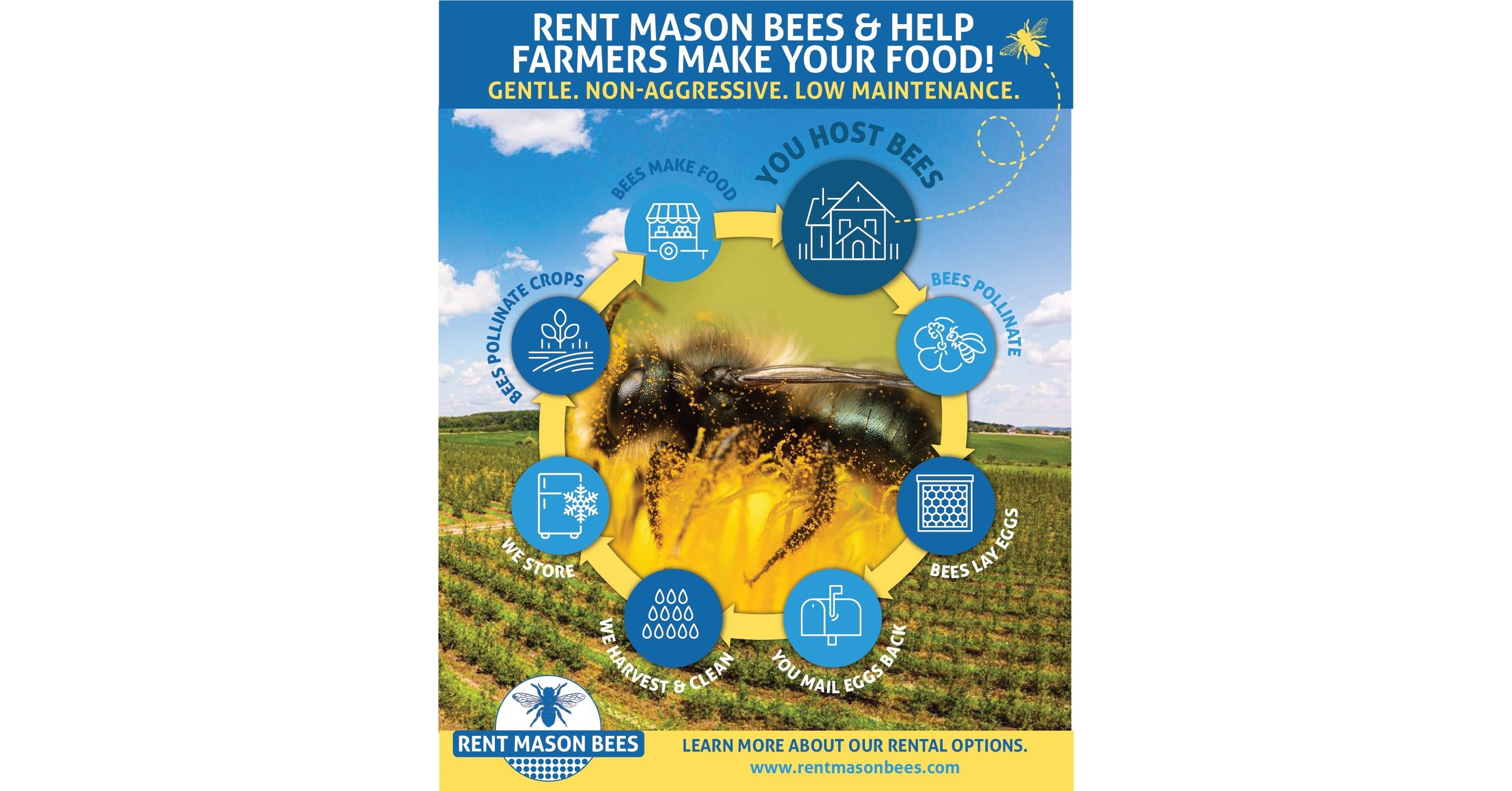 Host Mason Bees to Help Farmers and Food Production