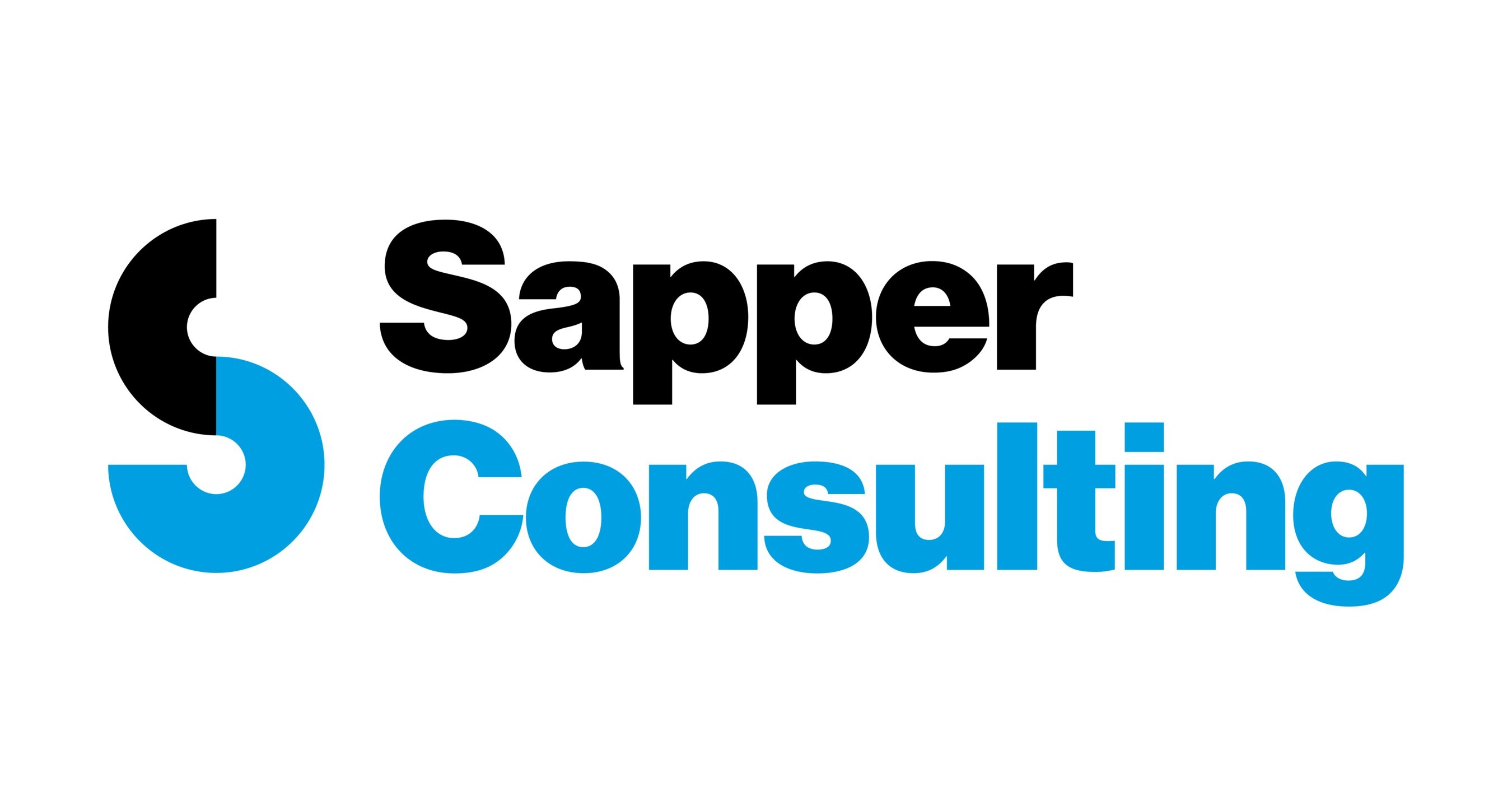 Sapper Consulting Introduces New REGIE Software