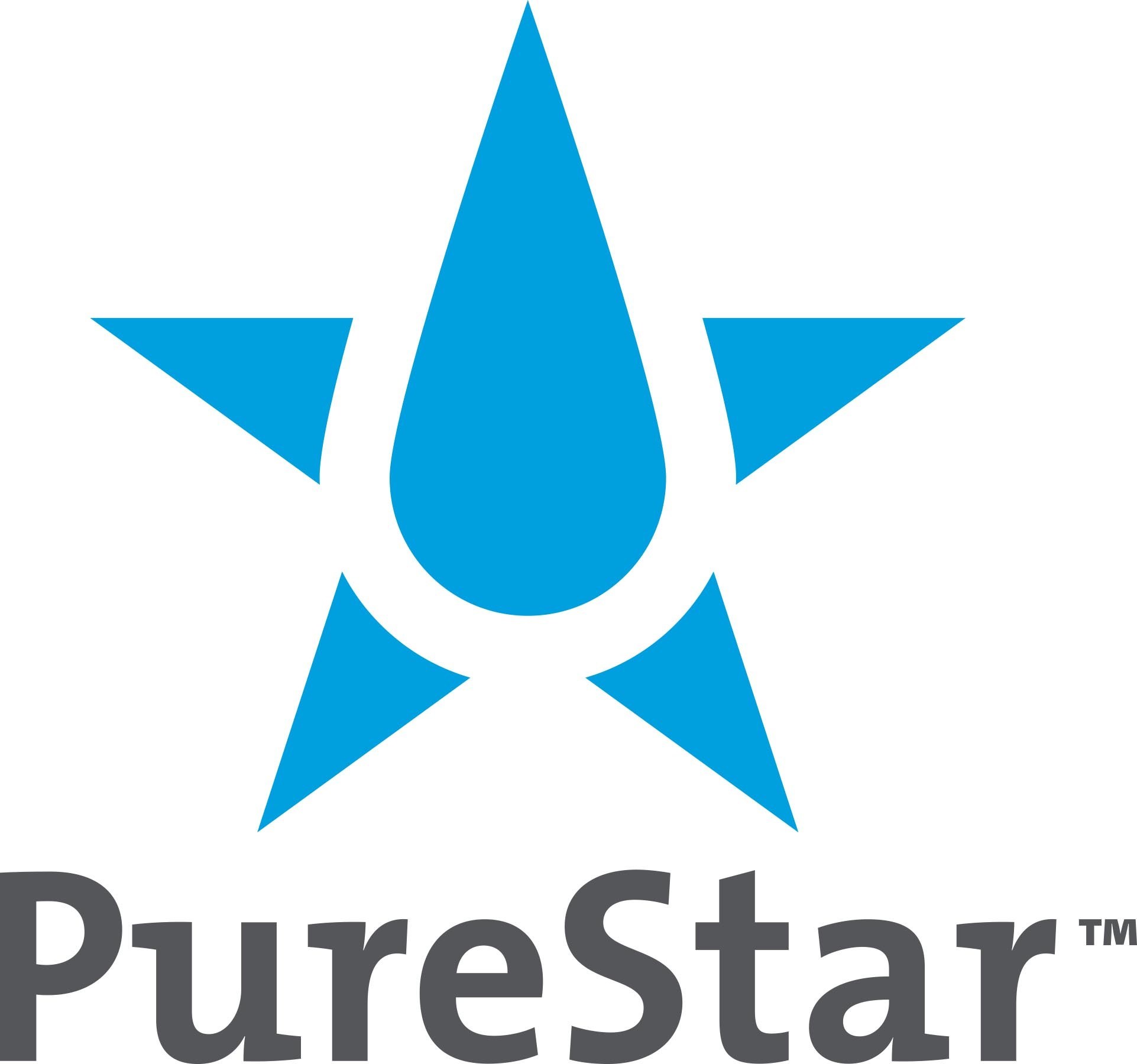 PureStar Group Honored With Industry Award in Diversity
