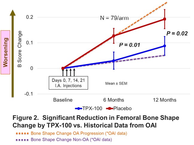 TPX-100: OrthoTrophix Demonstrates Evidence for Disease Modification in ...