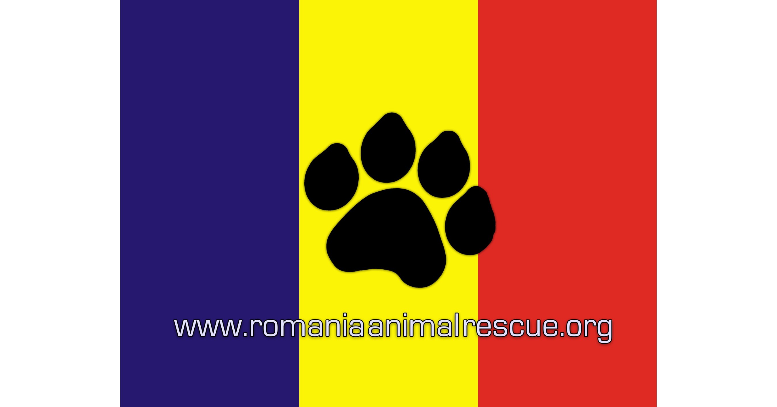 Romania Animal Rescue's New Video Finds That 2.5 Million Dogs And ...