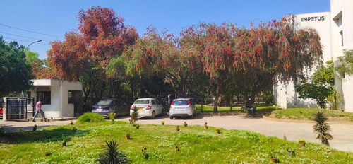 Impetus Technologies India Inaugurates its First Owned Facility at ...