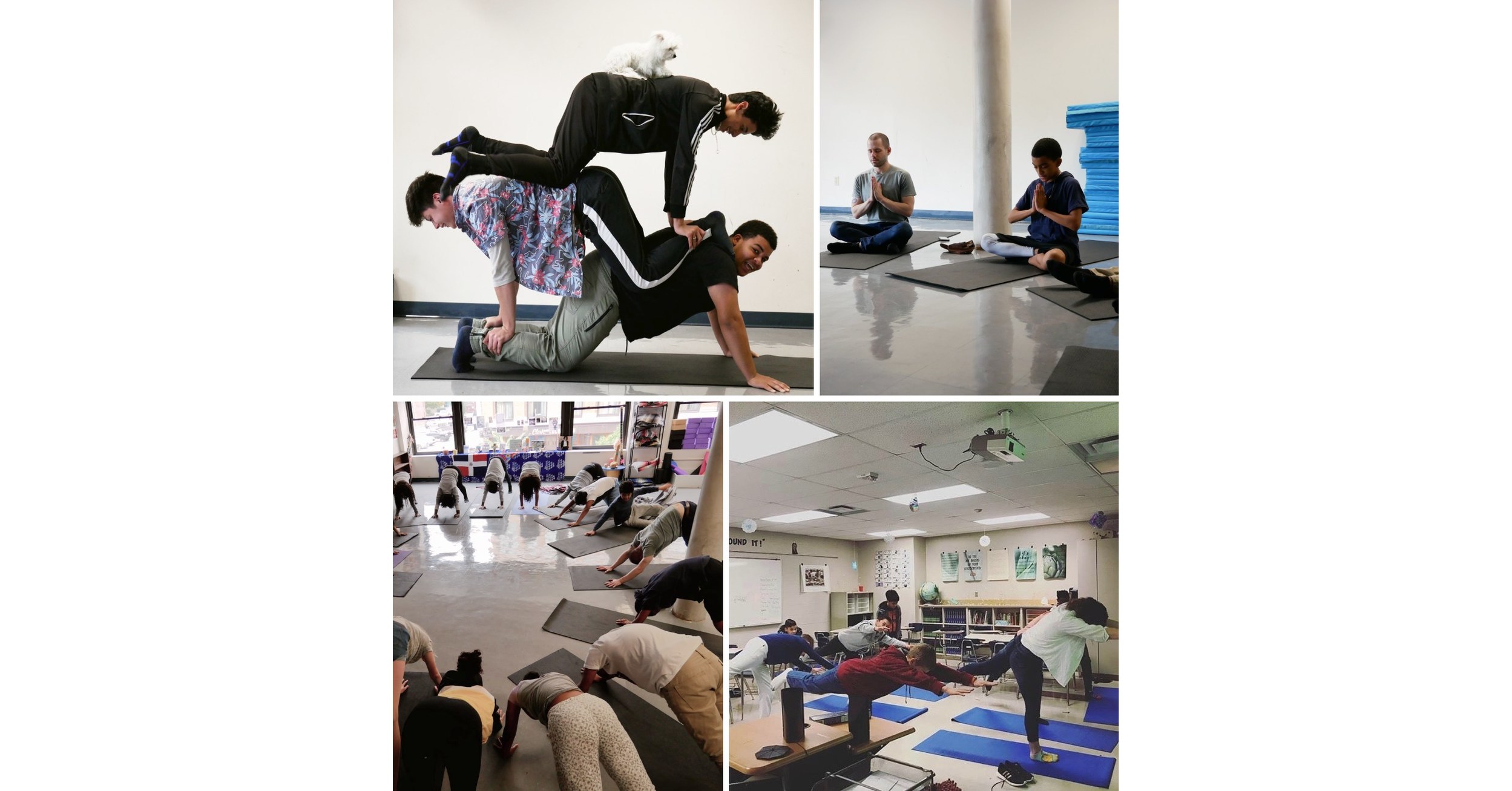 Down Dog is Offering Free Access to All Its Health and Fitness Apps to ...