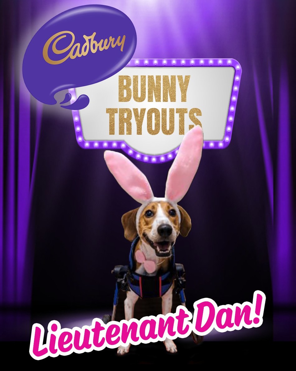 Inspirational Rescue Pup Wins Cadbury Bunny Tryouts