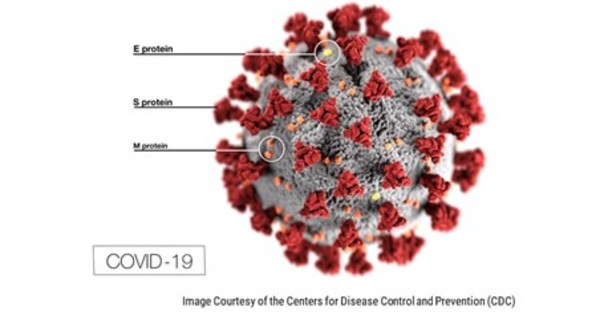 Bold Therapeutics Seeks Collaborators for Rapid Development of BOLD-100 ...