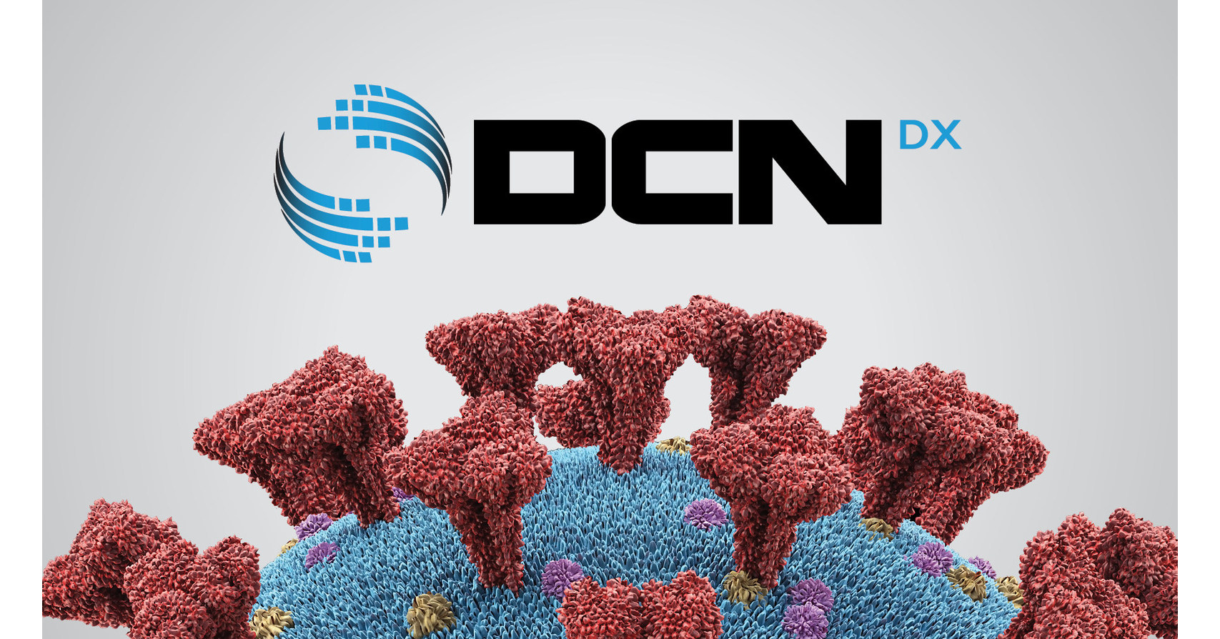DCN Dx to Present Comprehensive Webinar on Rapid Diagnostics