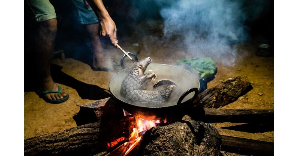 World Animal Protection Calls on WHO to Ban Wildlife Markets to Save ...