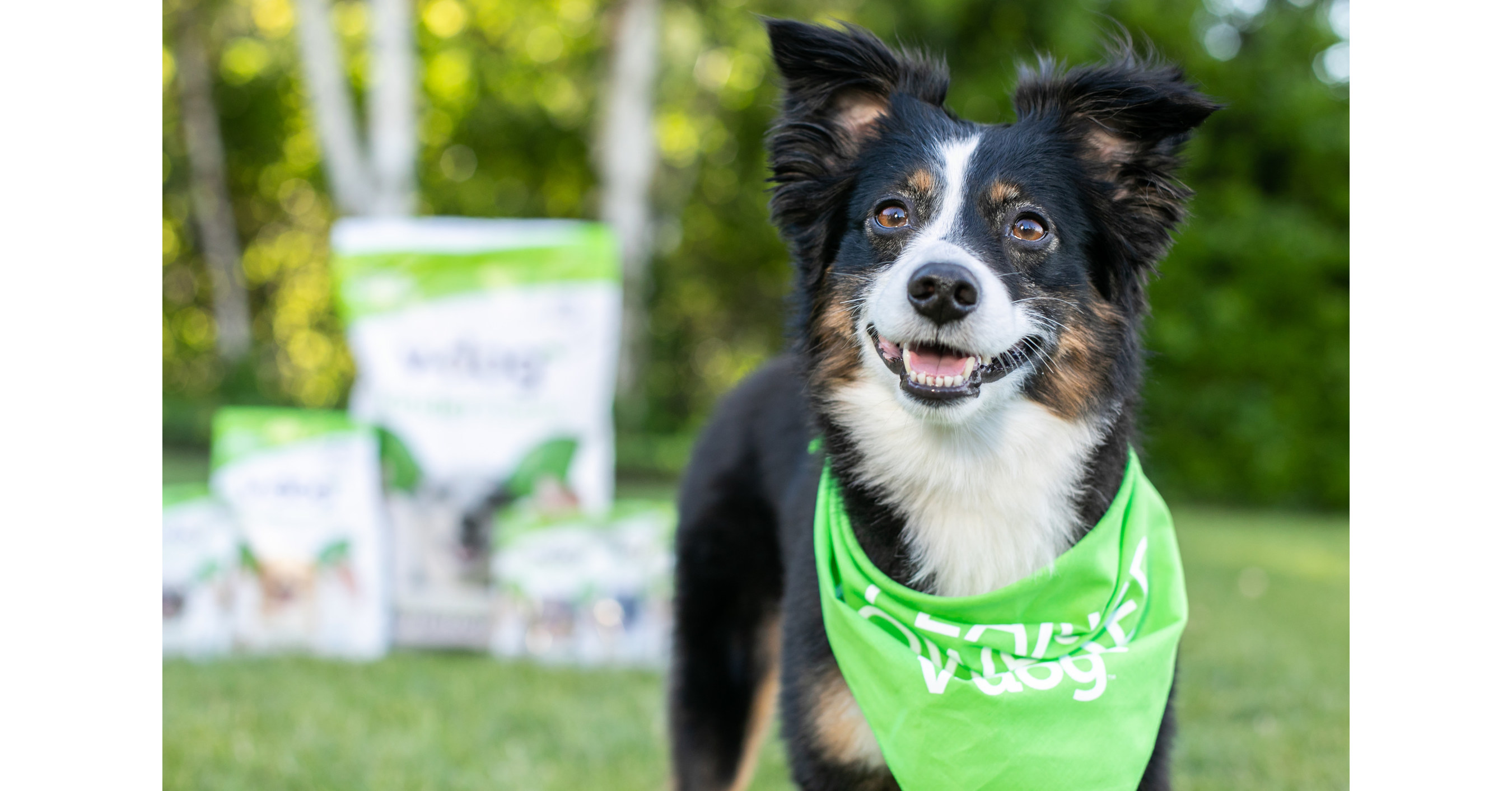 V-dog named one of 2020's top plant-based products in VegNews Veggie Awards