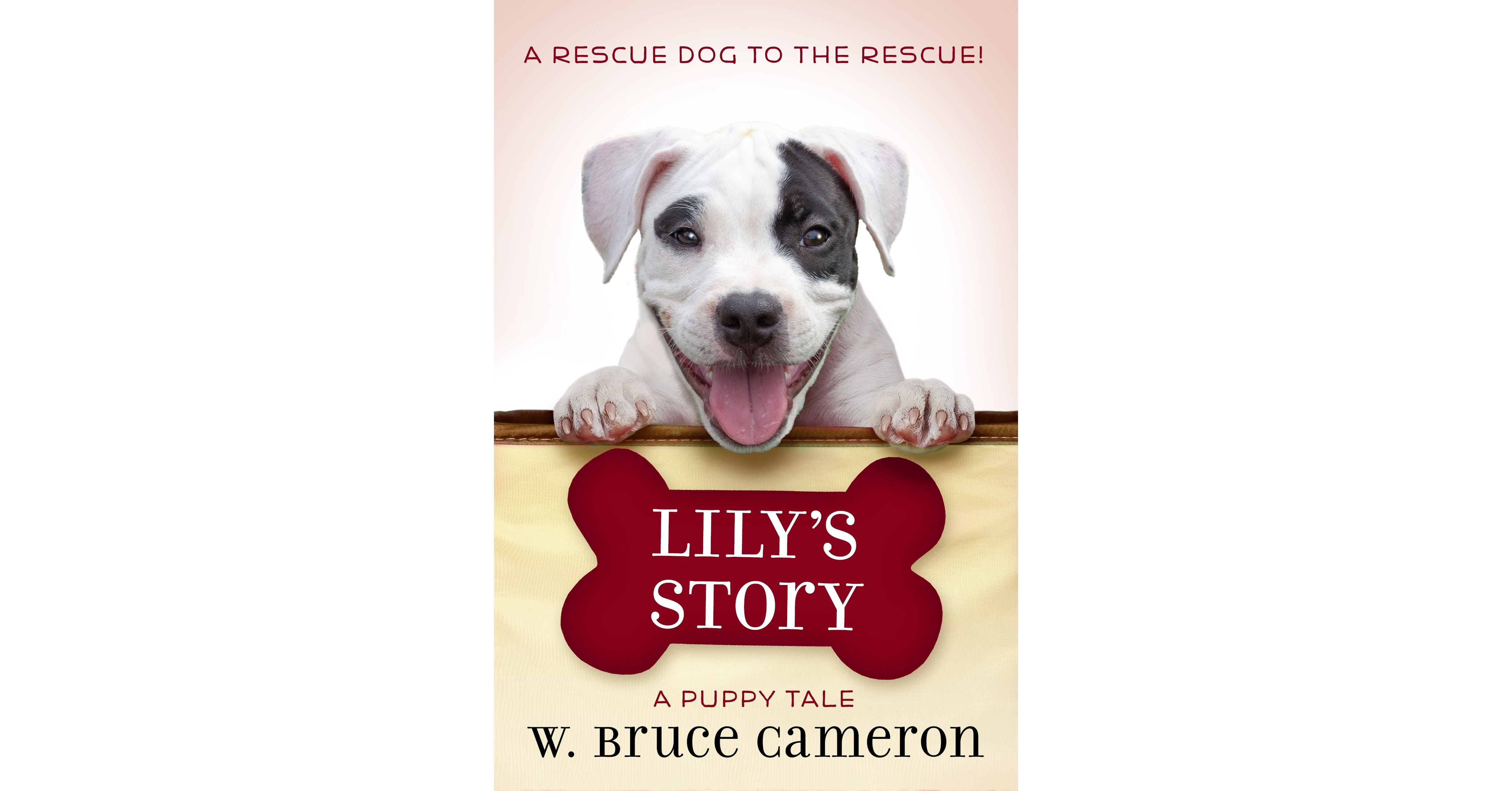 #1 New York Times Bestseller Bruce Cameron To Host Daily Children's ...