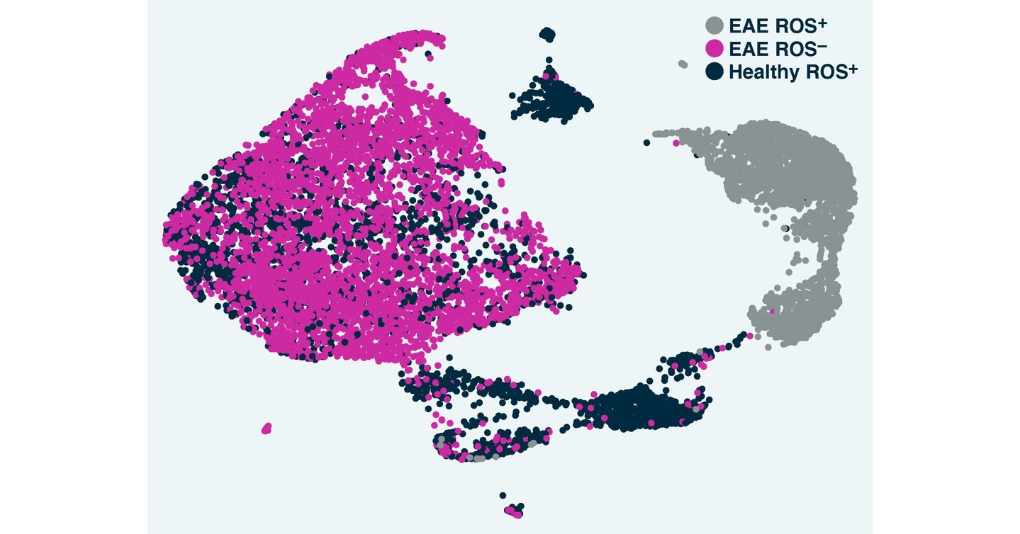 Toxic Cell Atlas Guides New Therapies for Neurodegeneration